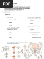 Lamaze Early Labor Infographic | PDF | Childbirth | Medical Humanities