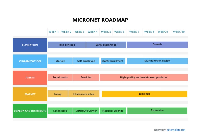 Roadmap Micronet SAS | PDF