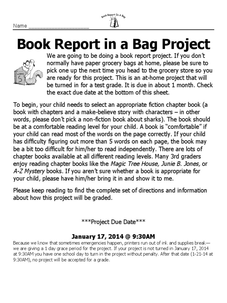 Book Report in a Bag: Directions and Rubric for a Creative At-Home ...