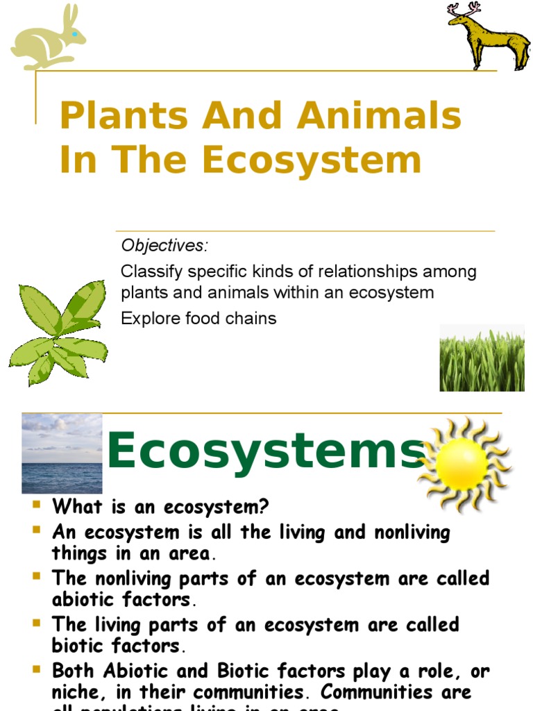 Plants and Animals in The Ecosystem | PDF