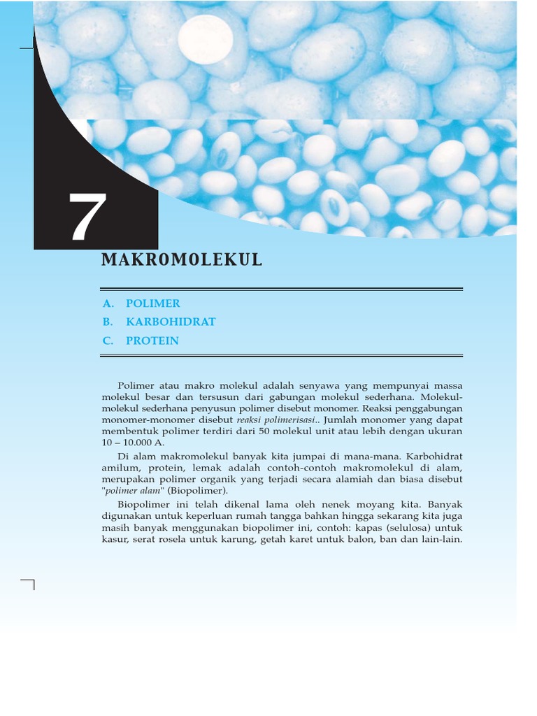 Makromolekul | PDF
