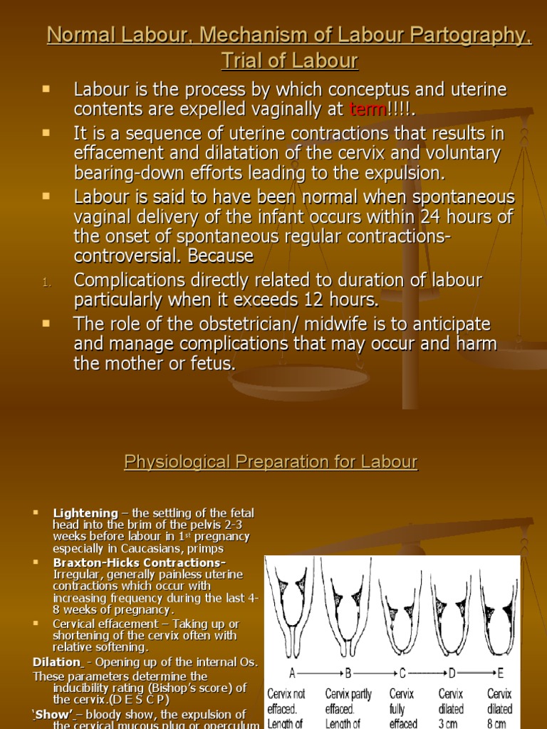 Understanding Normal Labour Management | PDF | Childbirth | Pelvis