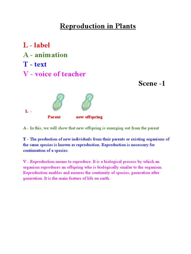 Reproduction in Plants | PDF | Reproduction | Sexual Reproduction