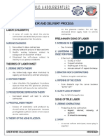 Understanding the 5 Ps of Labor | PDF | Childbirth | Pelvis