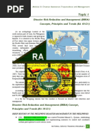 BDRRMC Structure | PDF | Security | Prevention