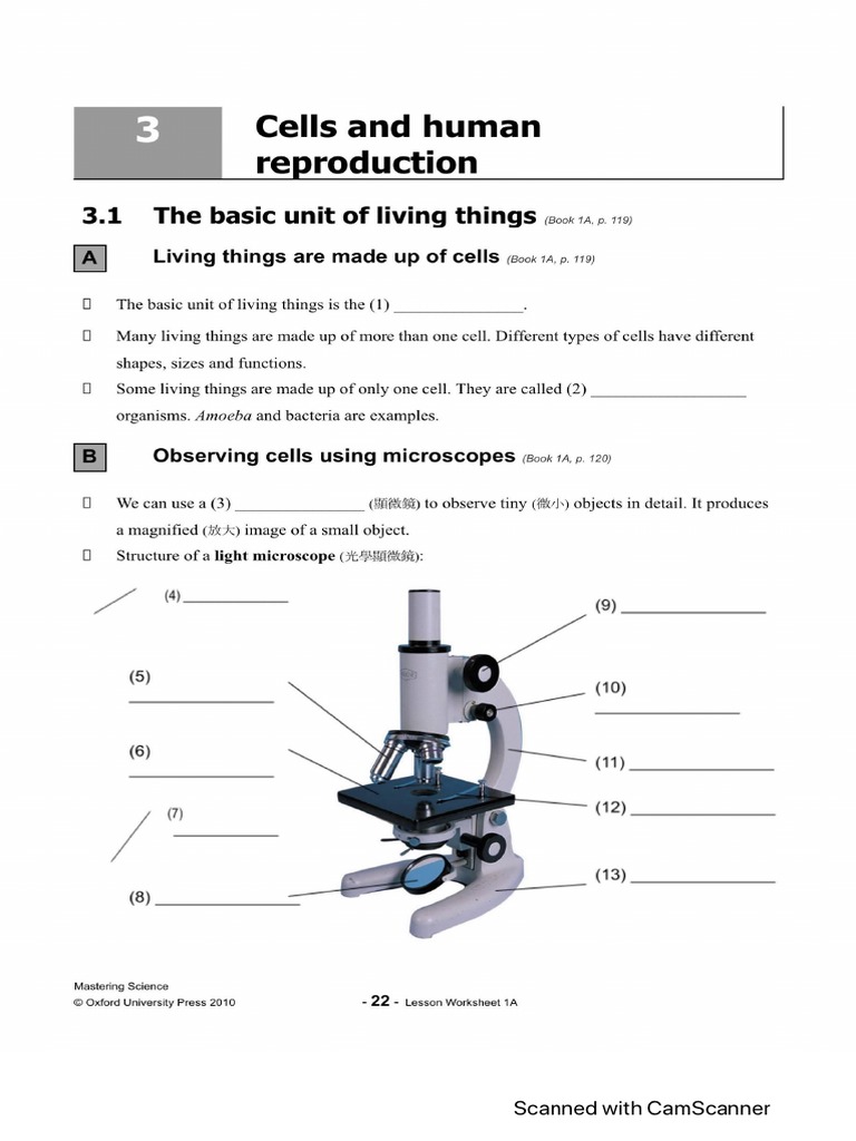 Science F1 Cells | PDF