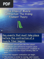 Steps of the Cross Bridge Cycle | PDF | Muscle Contraction ...