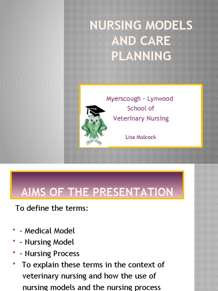 Nursing Models and Care Planning CC | PDF | Health Care | Nursing