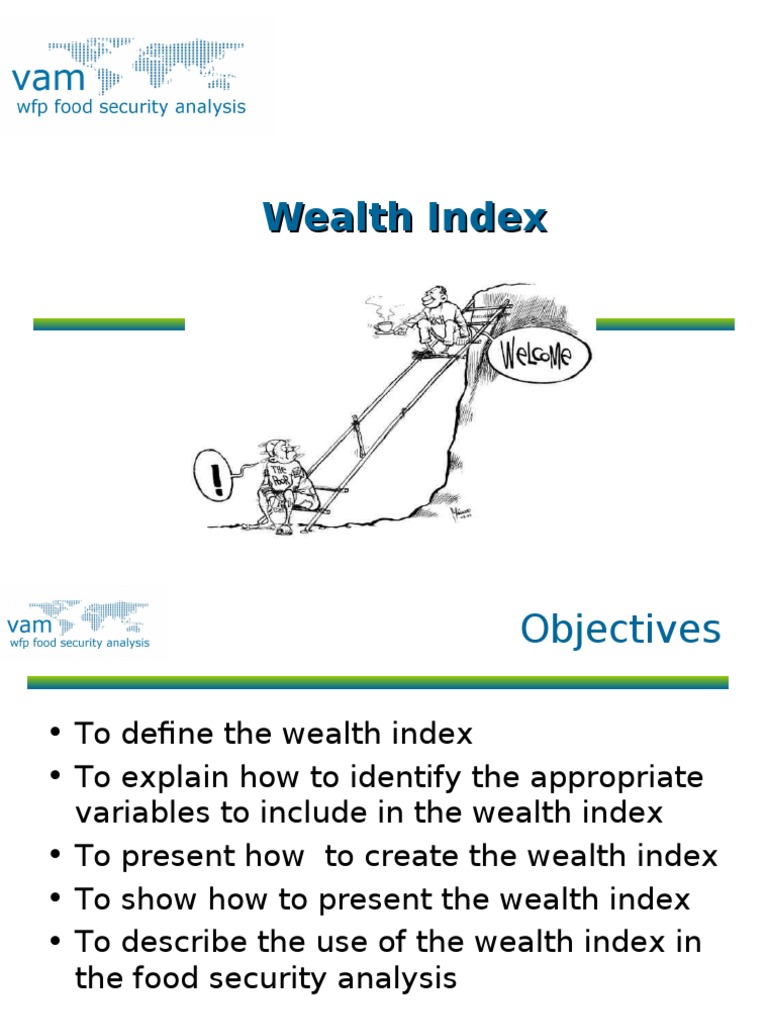 Understanding the Wealth Index: A Step-by-Step Guide to Constructing an ...