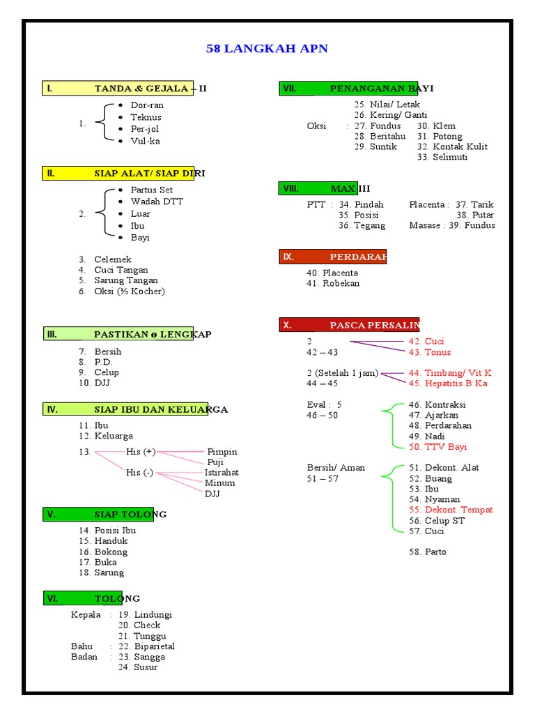 58 Langkah Apn | PDF