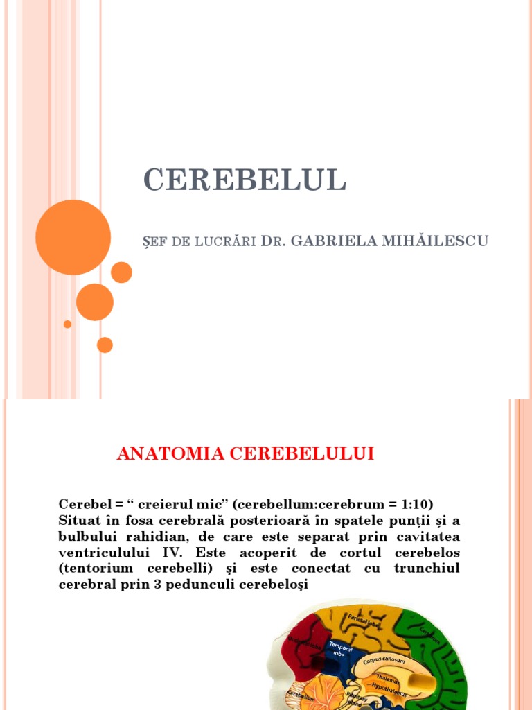 C 3 Cerebel | PDF