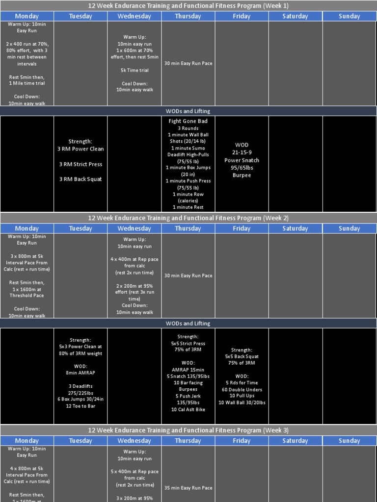 12 Week Endurance Training and Functional Fitness Program (Part 1 ...
