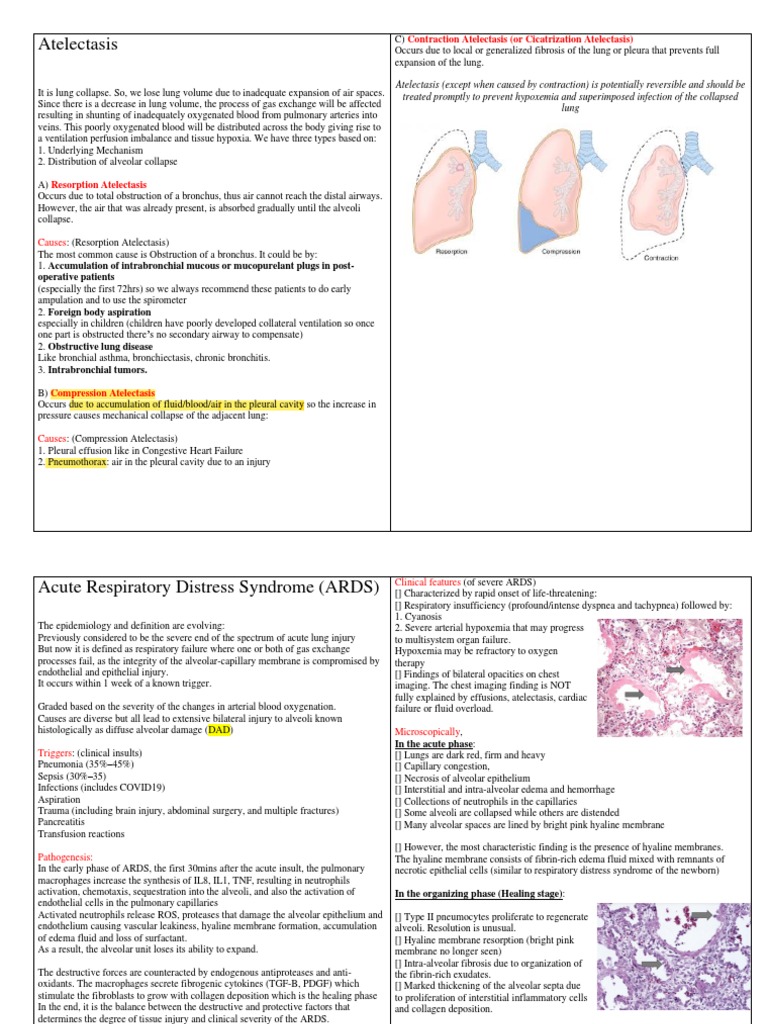 Atelectasis: Contraction Atelectasis (Or Cicatrization Atelectasis ...