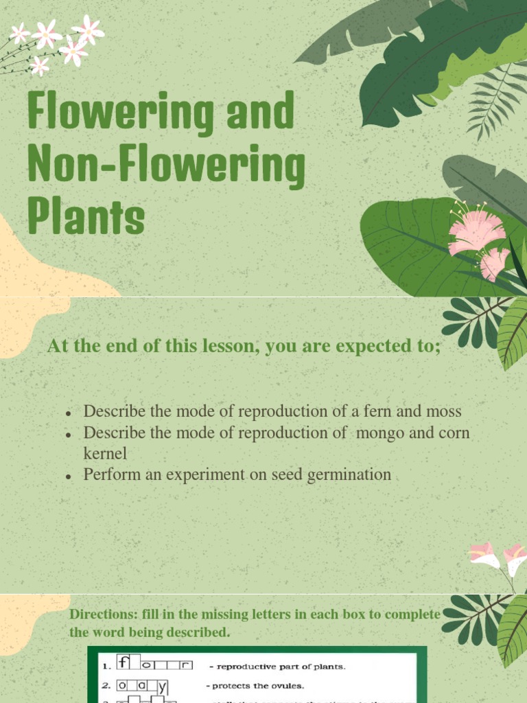 Flowering vs Non-Flowering Plants | PDF | Seed | Germination