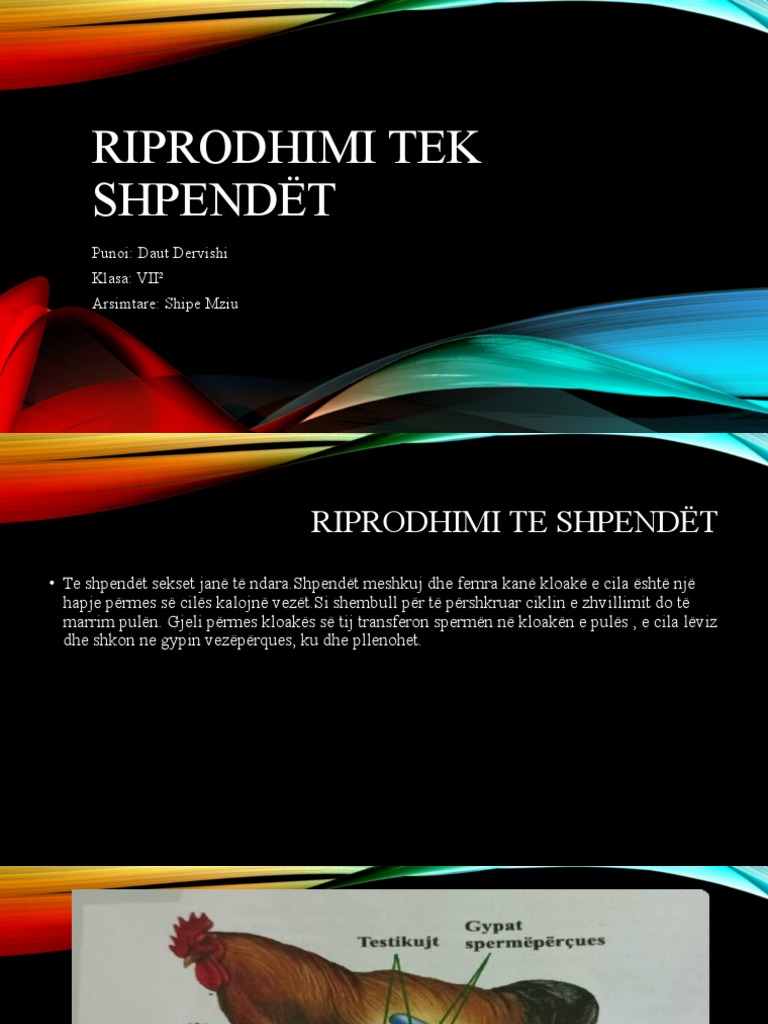 Riprodhimi Tek Shpendët | PDF