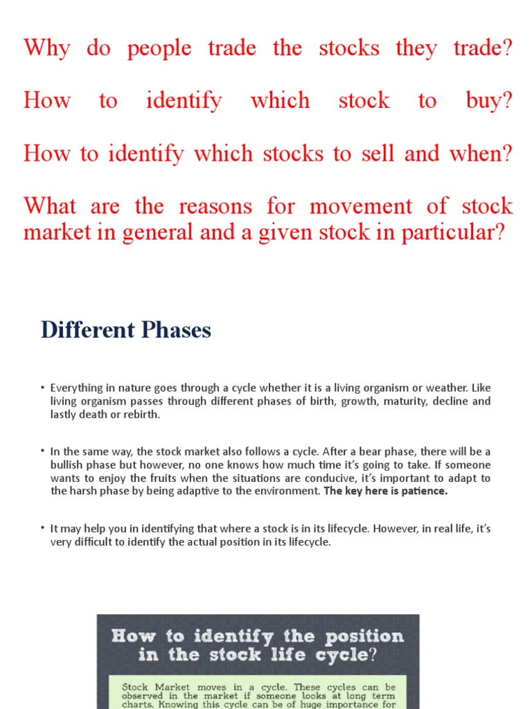 BF12 | PDF | Stocks | Investor