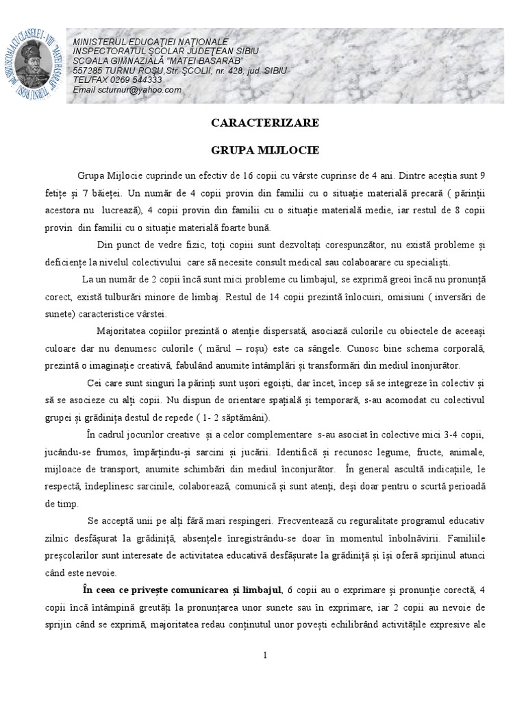 Caracterizare Grupa Mica | PDF