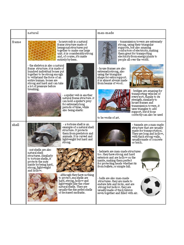 natural-man-made-frame-shell-structures-pdf-skeleton
