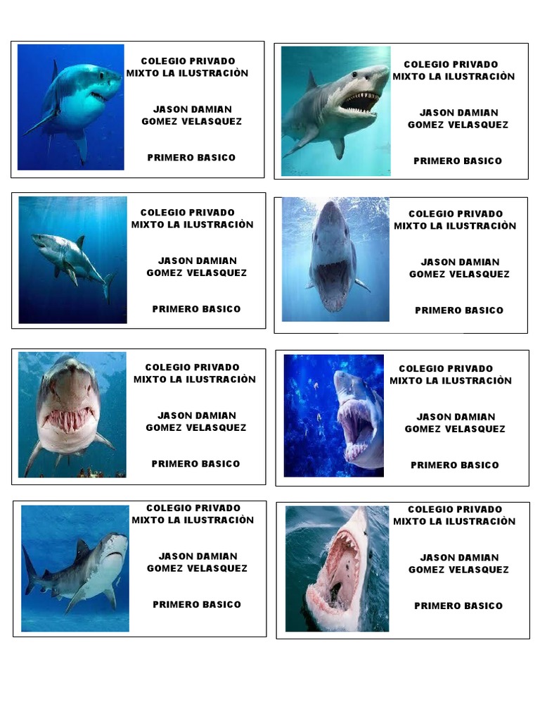 Calcomania - 2 | PDF