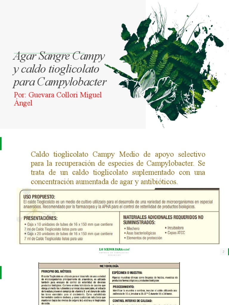 Agar Sangre Campy y Caldo Tioglicolato para Campylobacter | PDF