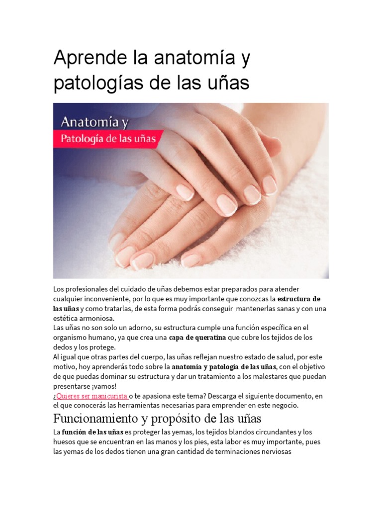 La Anatomía Y Funciones De Las Uñas Una Guía Esencial Para El Cuidado