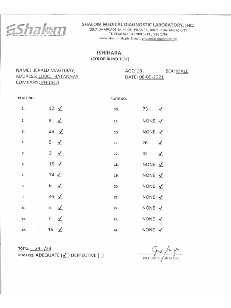 Ishihara Test Result | PDF