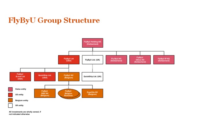 FlyByU Corporate Structure Overview | PDF