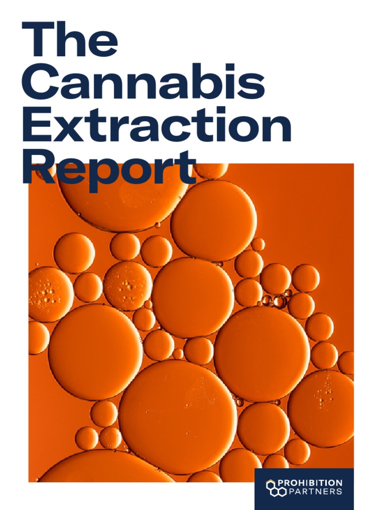 The Cannabis Extraction Report | PDF | Tetrahydrocannabinol | Cannabis