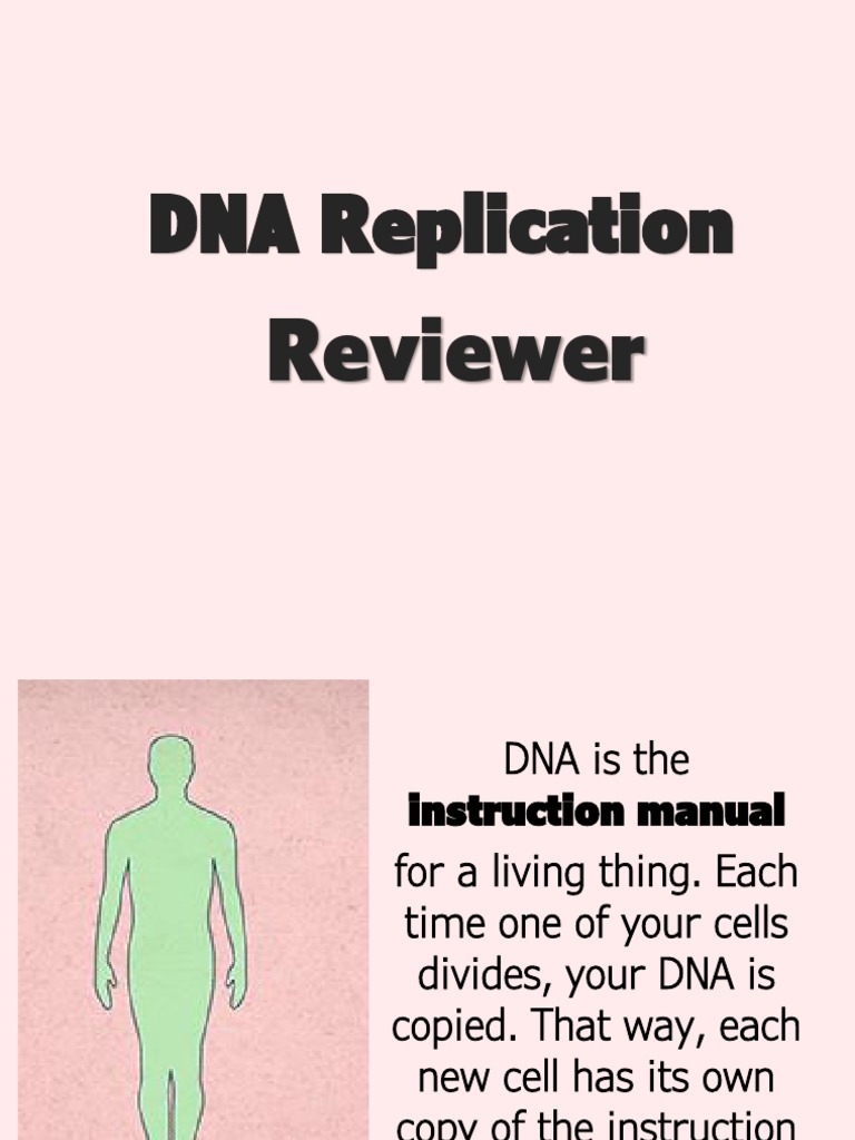Importance of Hydrogen Bonds in DNA Replication | PDF | Dna Replication ...