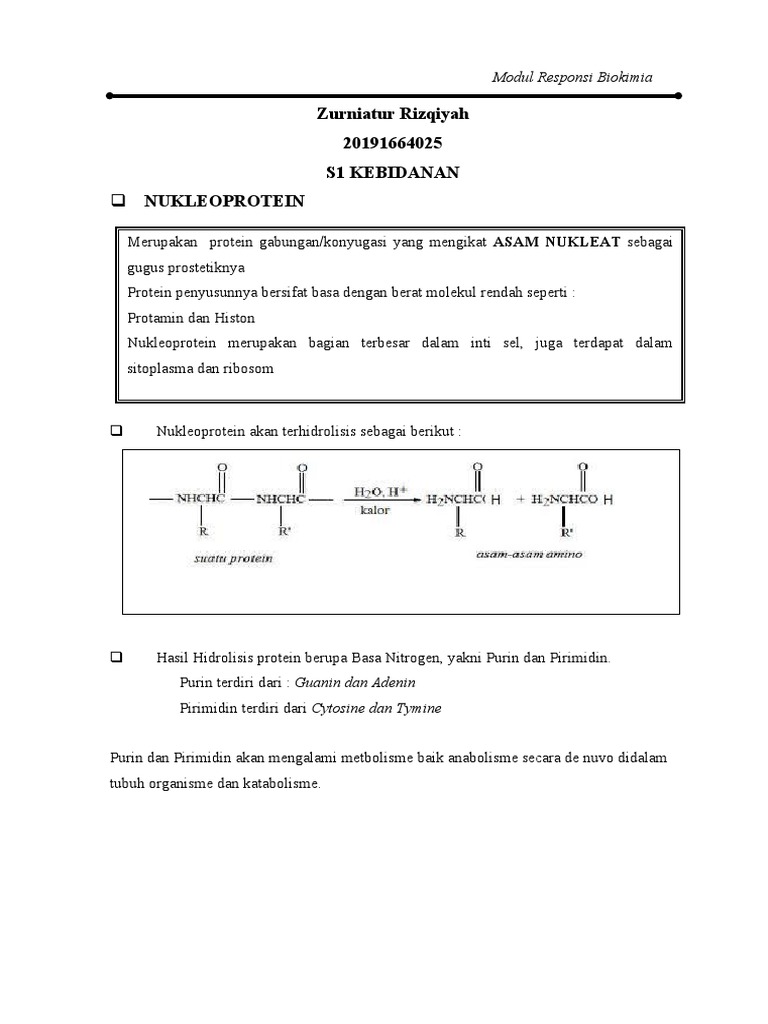 Proses Hidrolisis dan Metabolisme Nukleoprotein | PDF | Sains & Matematika