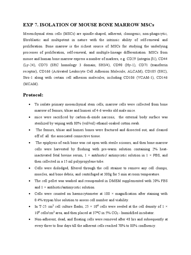 Exp 7. Isolation of Mouse Bone Marrow Mscs | PDF | Mesenchymal Stem ...