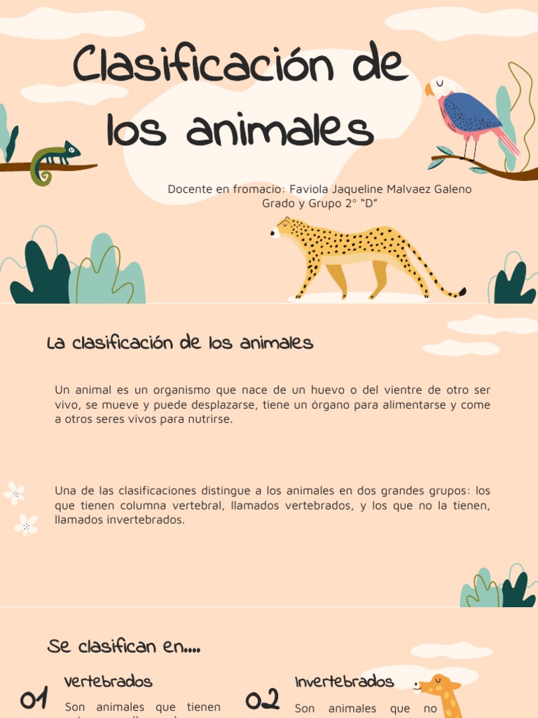 Clasificación de Los Animales | PDF | Zoología | Eucariotas