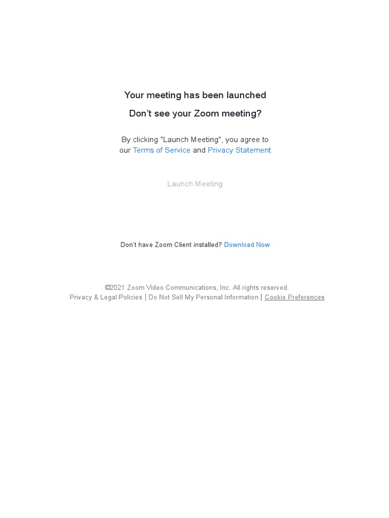 Launch Meeting - Zoom | PDF