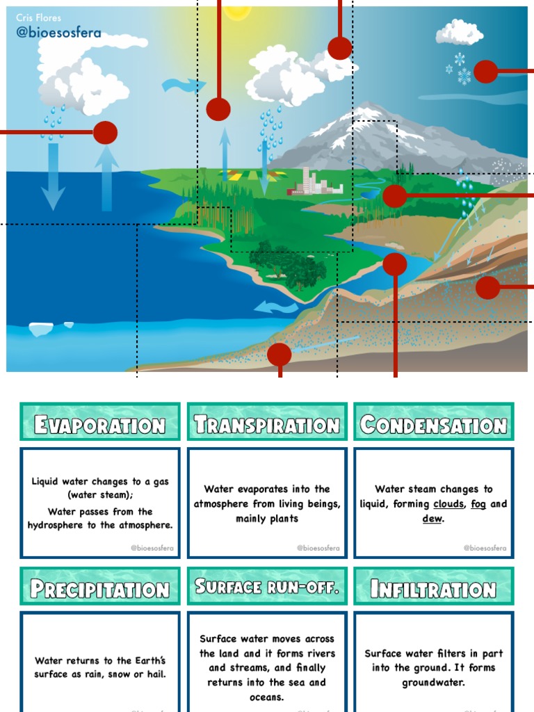 Juego - El Ciclo Del Agua - Water Cycle - Español e Inglés | PDF | Agua ...