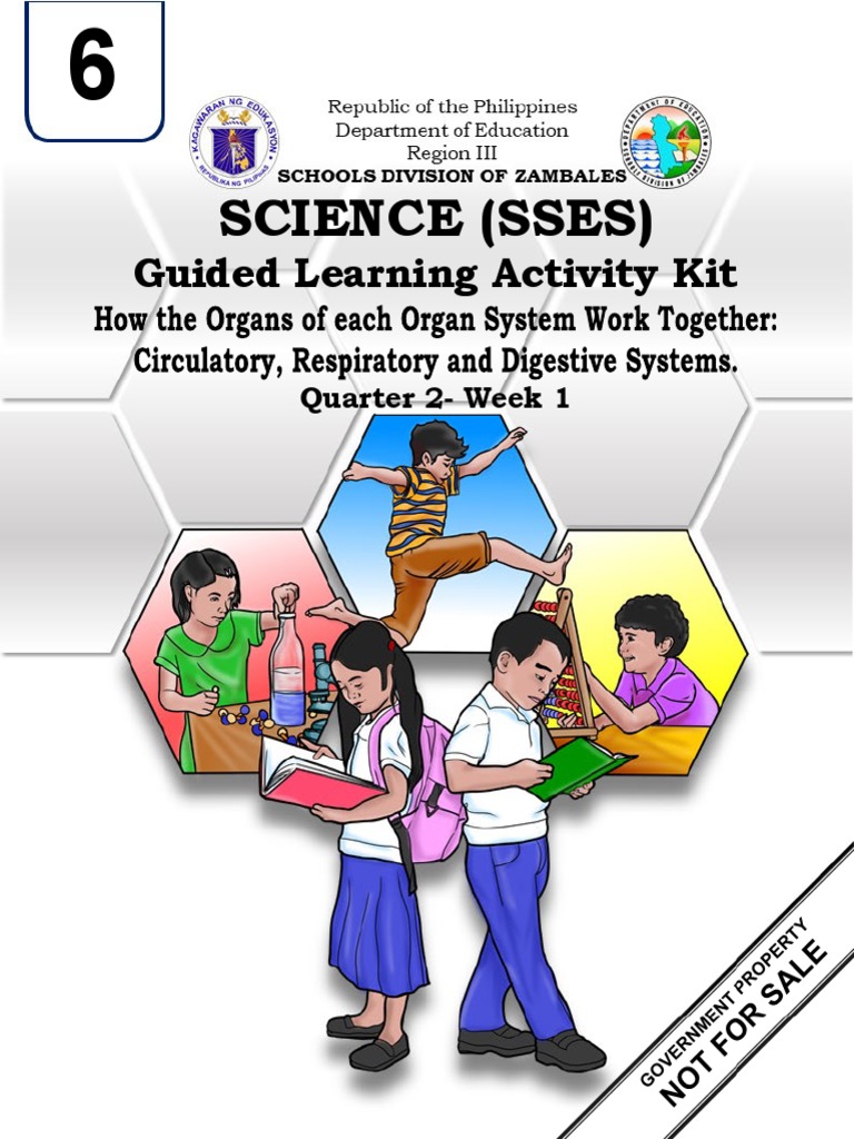 Grade 6 - SSES - Science - Q2 - Wk1 - GLAK | PDF | Atrium (Heart) | Heart