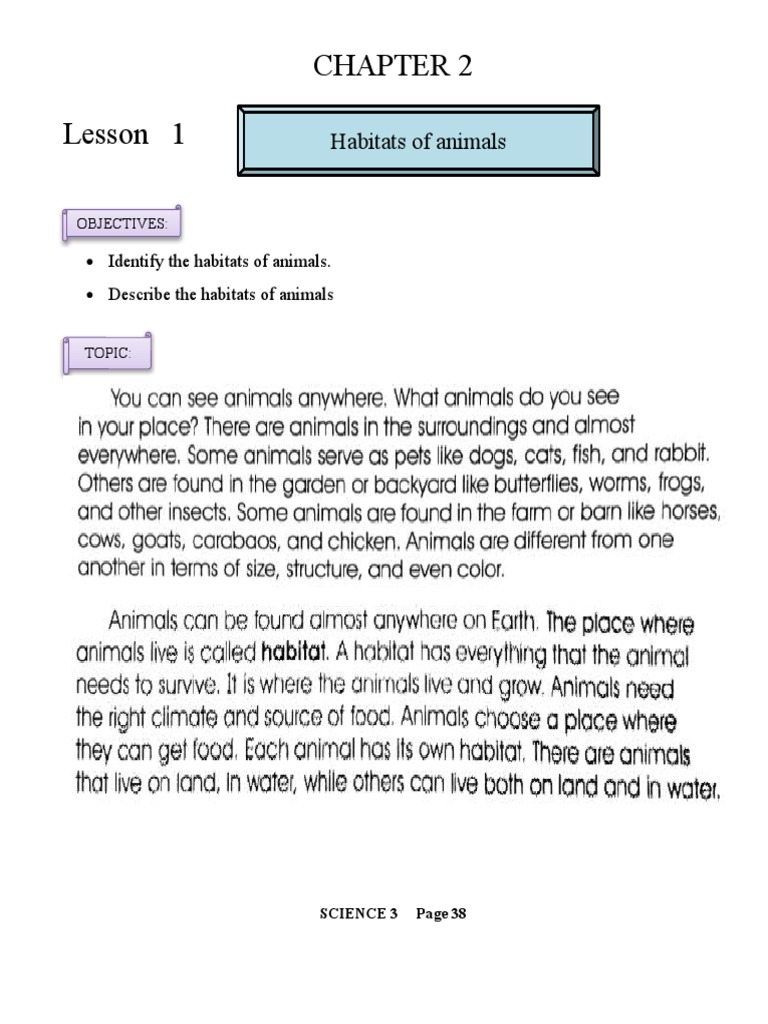 CHAPTER 2 Lesson 1 HABITAT OF ANIMALS Science 3 | PDF