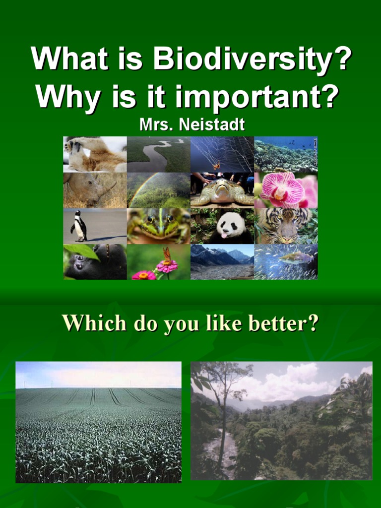 What Is Biodiversity? Why Is It Important? | PDF | Biodiversity ...