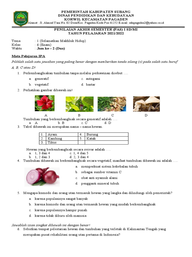 Soal PAS Kelas 6 Tema 1 Paket 2 | PDF