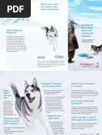 Pentoject | PDF | Injection (Medicine) | Intravenous Therapy