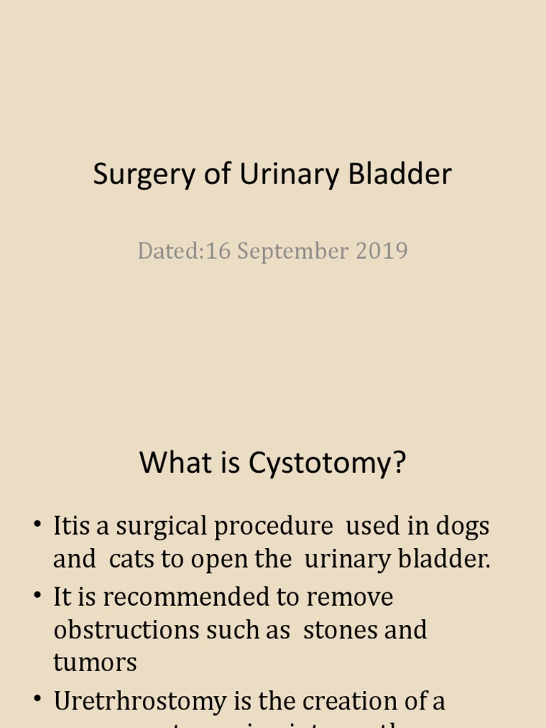 2-Cystotomy in A SA | PDF | Urinary Bladder | Abdomen