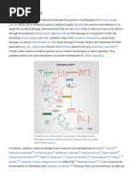 Class 11 - Biology Important Diagrams | PDF | Leaf | Bacteria