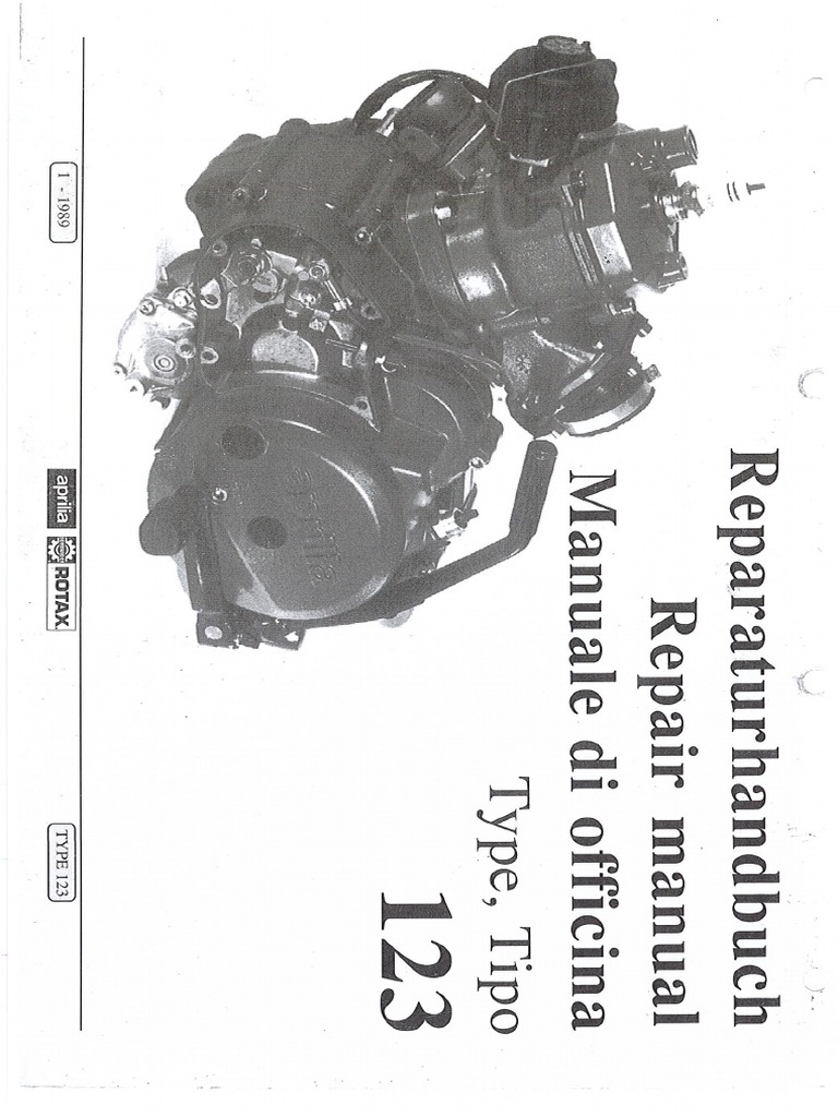 Rotax 123 Manuale Officina | PDF