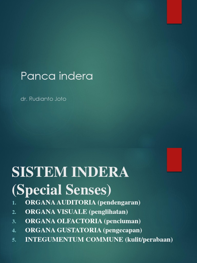 Sistem Indera | PDF