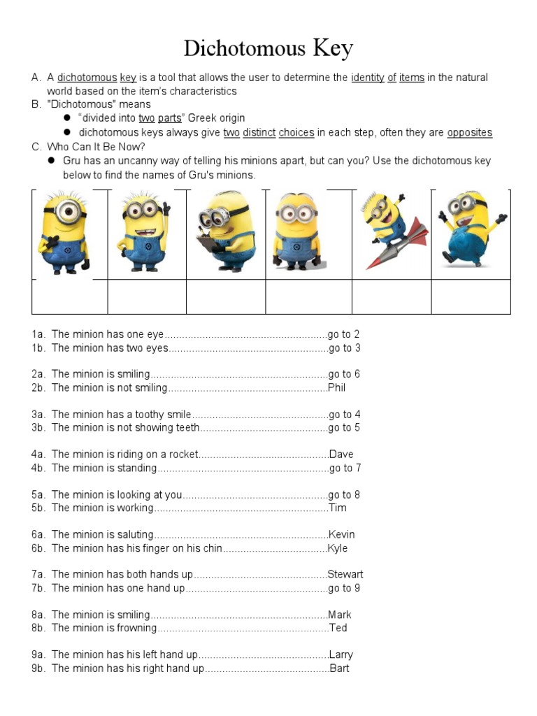 Minion Identification Key Guide | PDF