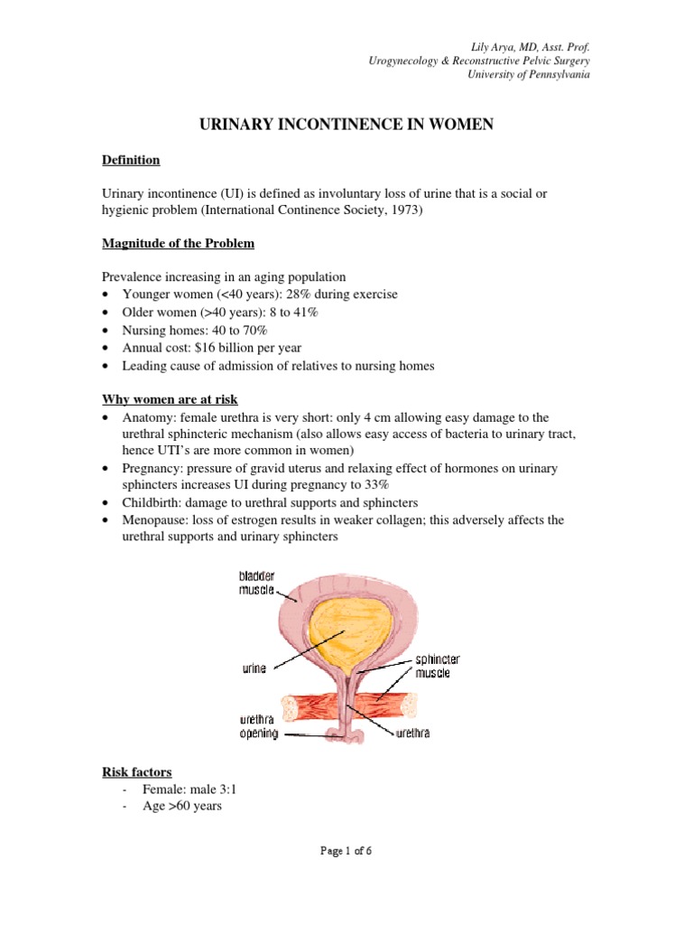Understanding Urinary Incontinence in Women | PDF | Urinary ...