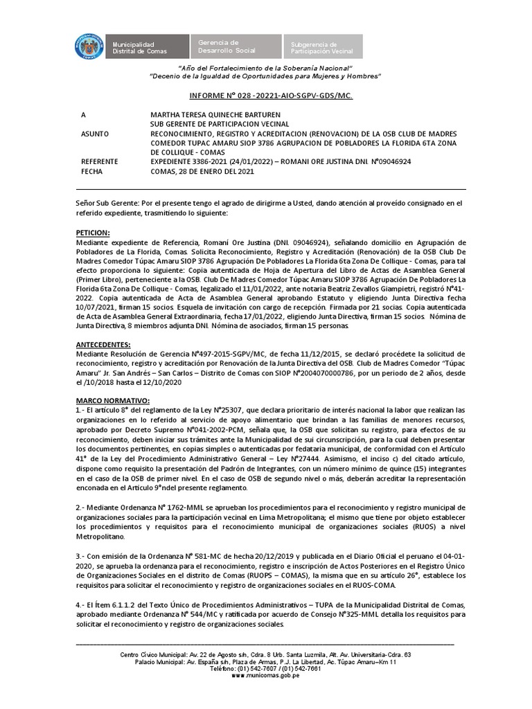 Informe 028 Comedor Tupac Amaru | PDF