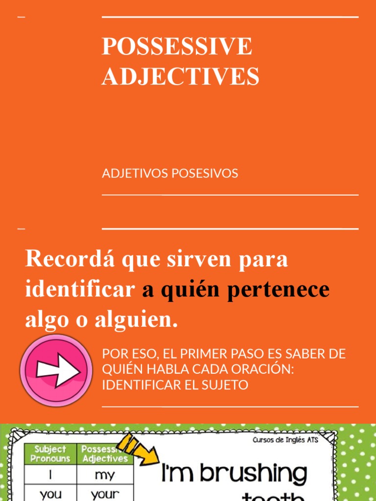 Possessive Adjectives Practice | PDF