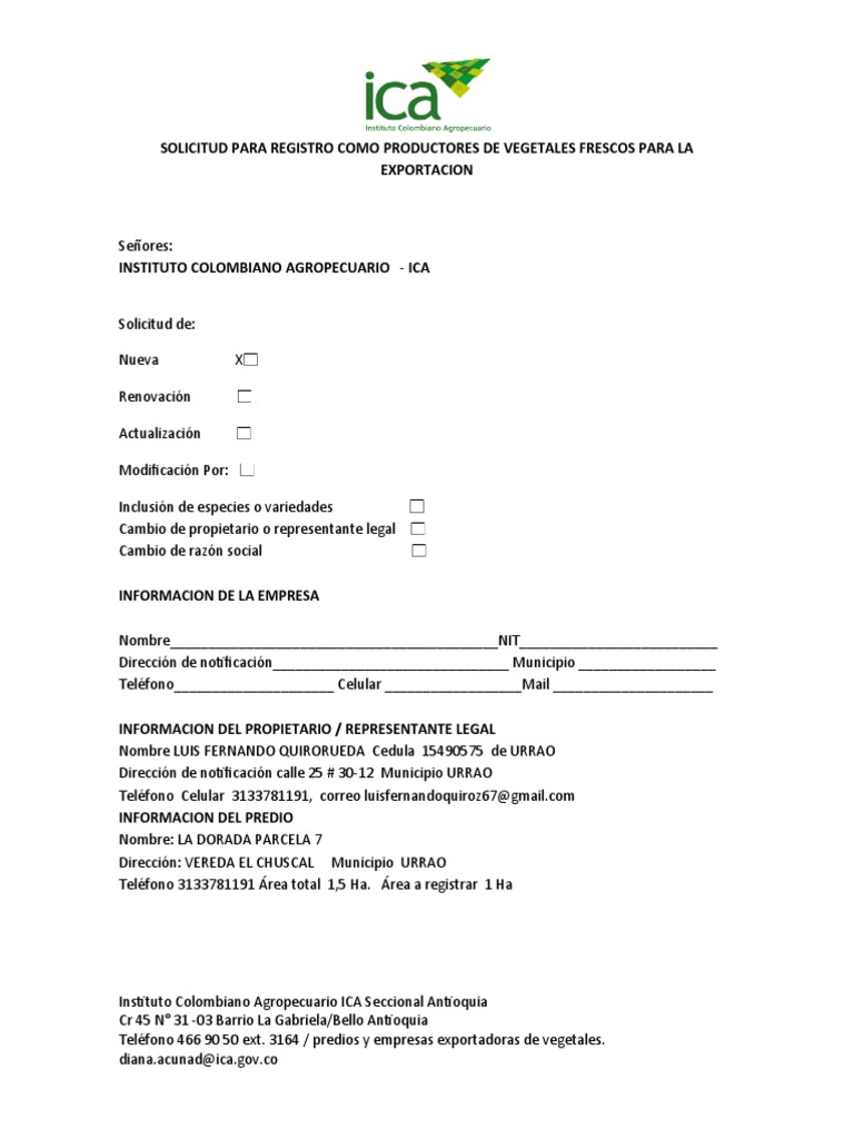 Formulario Ica | PDF