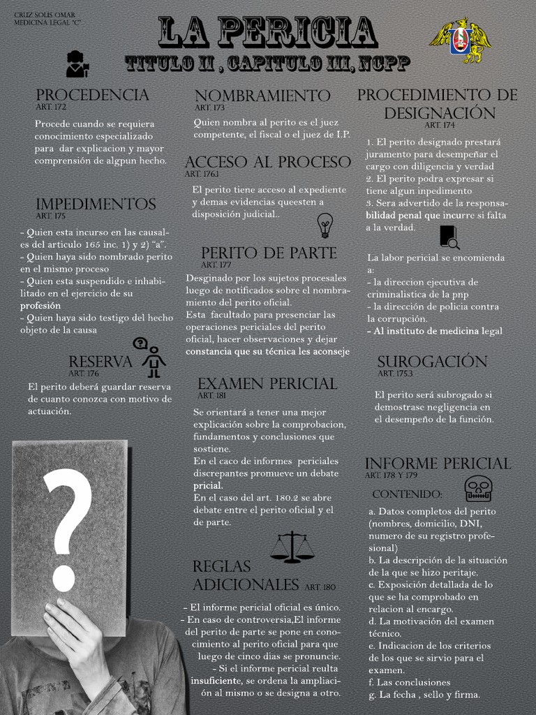 Infografia Pericia | PDF
