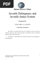 2022 Updated SitAn | PDF | Juvenile Delinquency | Convention On The ...